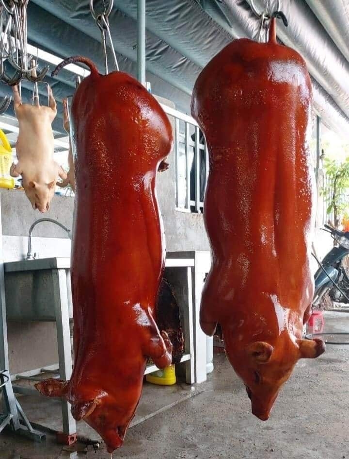 Heo quay da nổ nguyên con 7kg